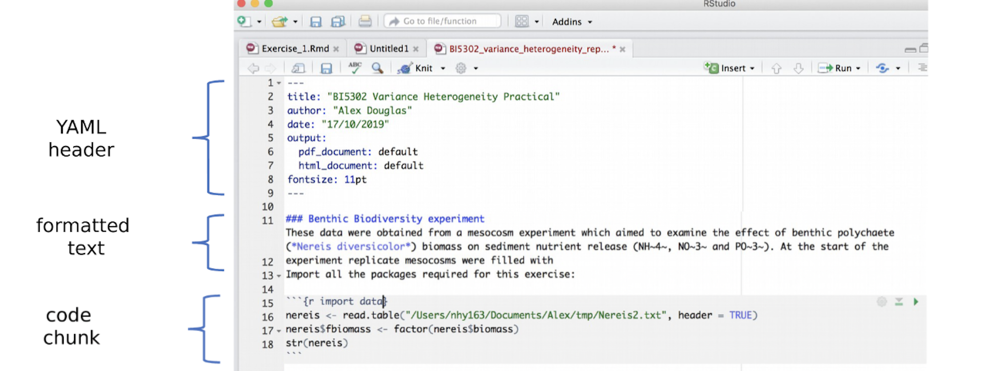 Chapter 3 R-Markdown | STAT462 Lab Book 2024